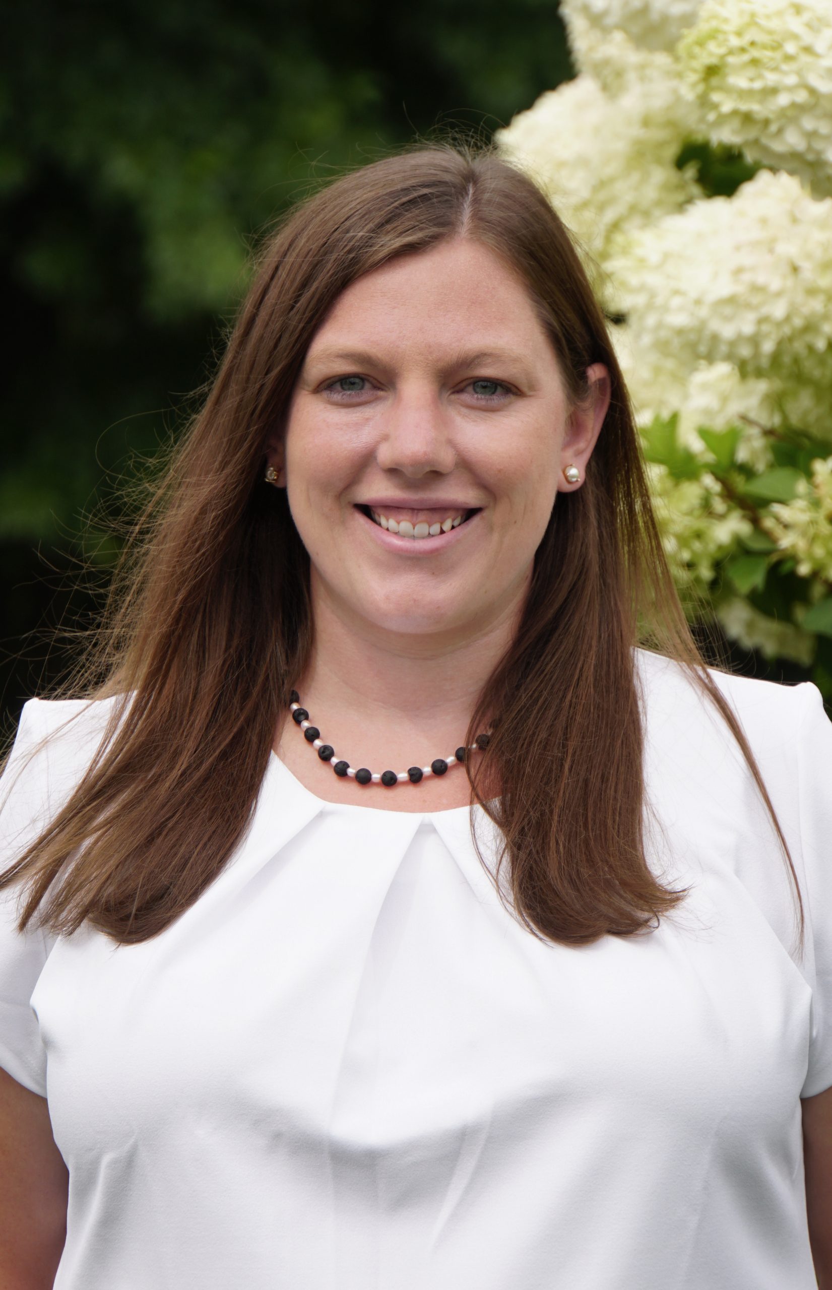 About Us – Scientific Design Company