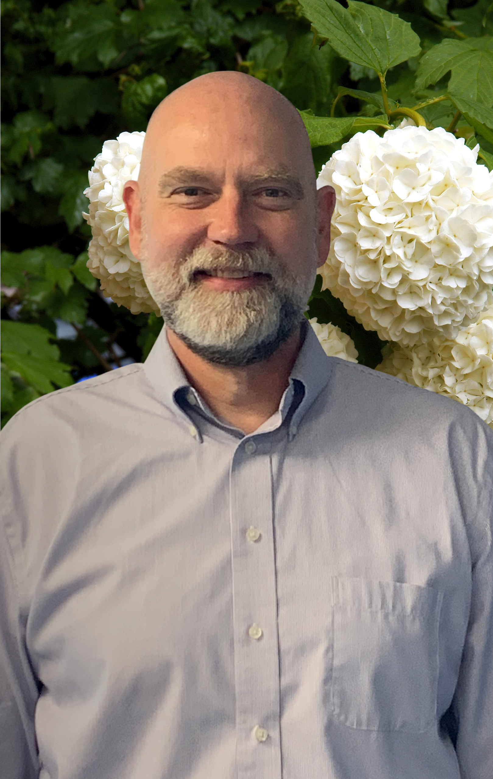 About Us – Scientific Design Company